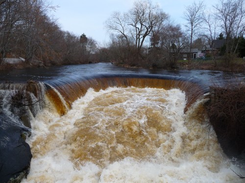 Best Waterfalls in Rhode Island: 11 Local Favorites & Hidden Gems