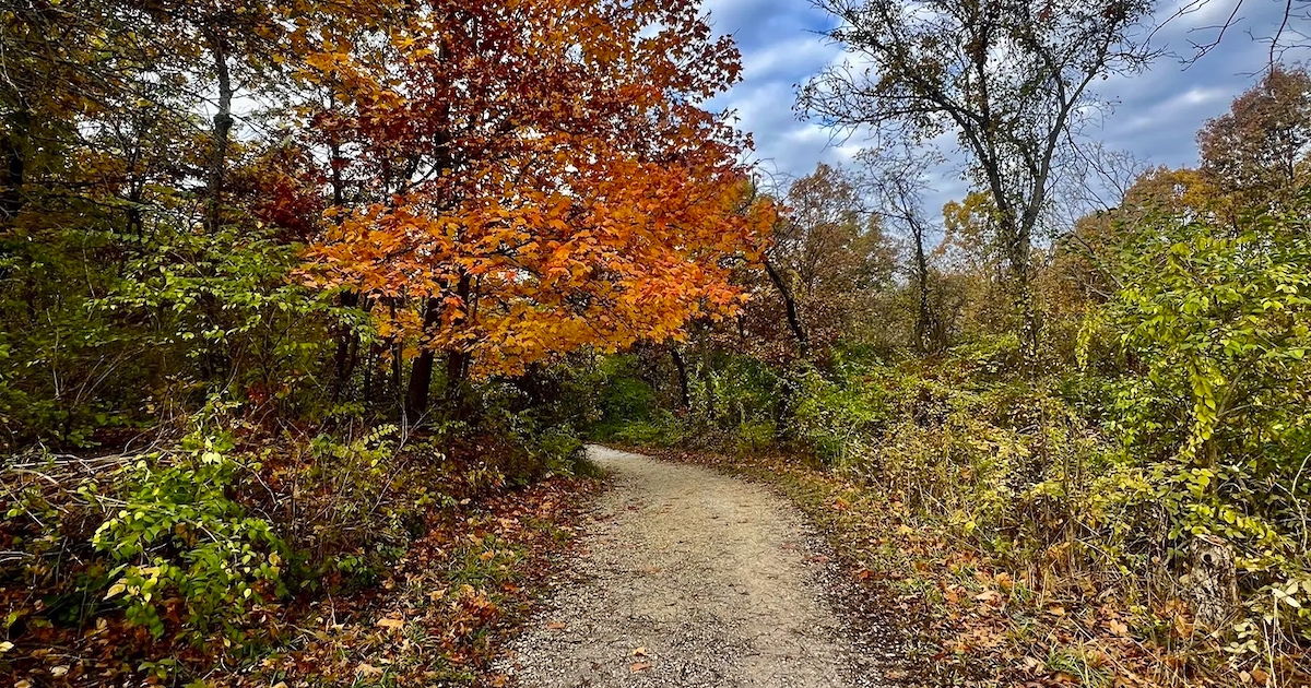 The Sag Valley Yellow Trail Loop Is a Jaw-Dropping Hiking Trail in Illinois