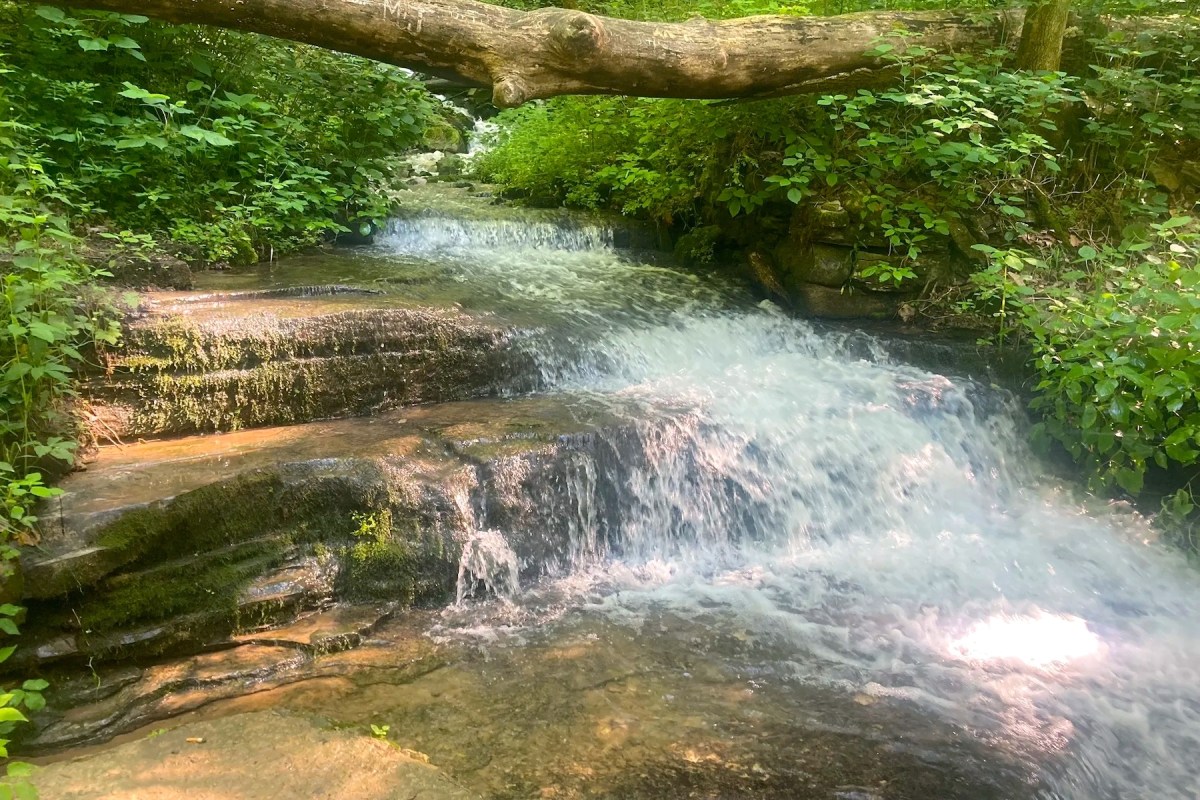 The Breathtaking Hidden Nature Park in Indiana That You'll Love