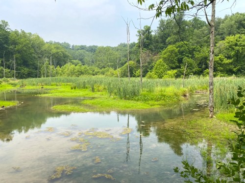 The Breathtaking Hidden Nature Park in Indiana That You'll Love