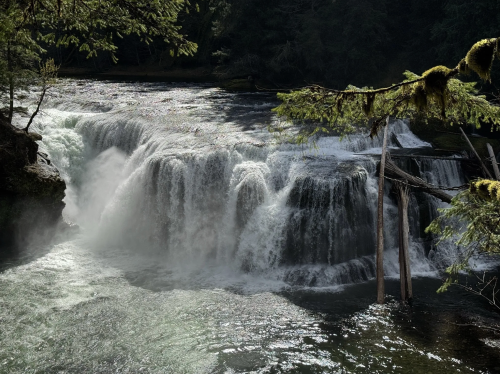 Lower Lewis River Falls: Stunning Swimming Hole in Washington