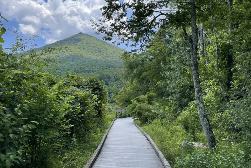 Lesser-Known Hikes in Virginia: Otter Creek Recreation Area
