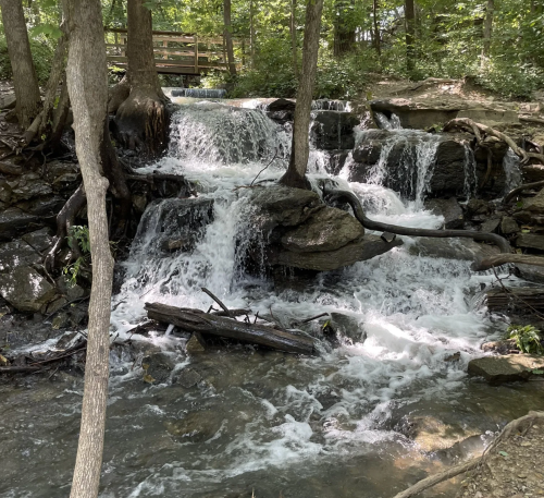 Best Waterfalls in Missouri: 14 Local Favorites & Hidden Gems