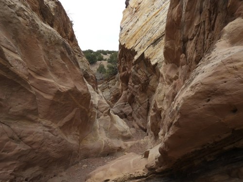 Slot Canyon Hike in Colorado: Redemption Trail