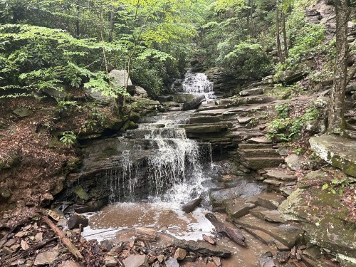 Best Waterfalls in PA: 15 Local Favorites & Hidden Gems