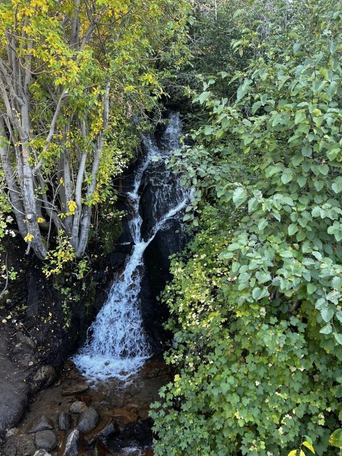 Best Waterfalls in Nevada: 12 Local Favorites & Hidden Gems