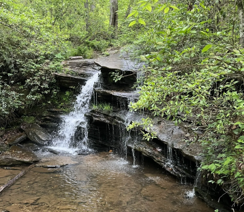 Best Waterfalls in South Carolina: 12 Local Favorites to Visit
