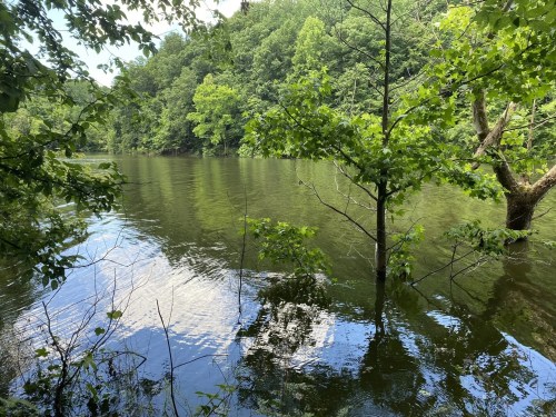 Your Ultimate Guide to Summer Fun in Kentucky