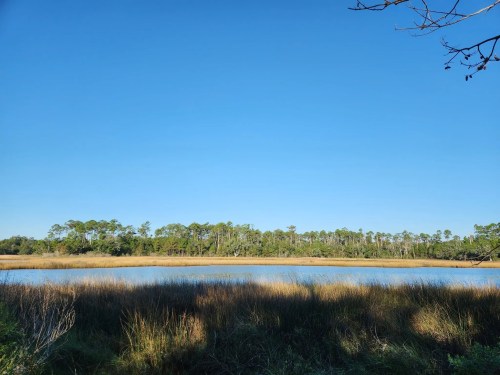 Your Ultimate Guide to Summer Fun in Mississippi