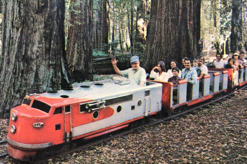 Confusion Hill: Northern California’s Quirkiest Roadside Mystery