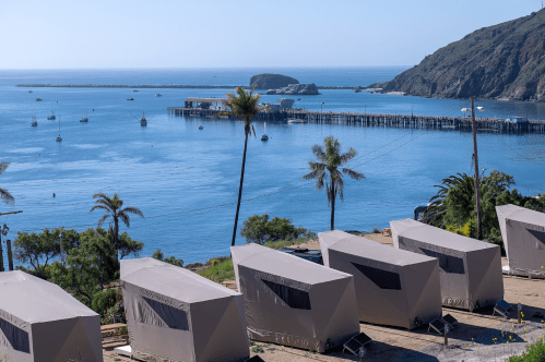 Occidental, California: An Enchanting and Historic Small Town