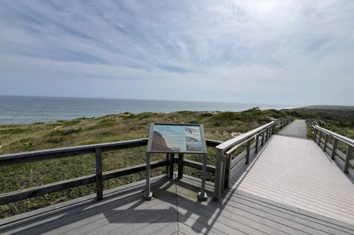 Thunderbolt Mountain Coaster: Massachusetts Mountain Coaster