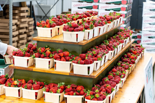 Luxury Cabin with Waterfall Pool in Hocking Hills, Ohio