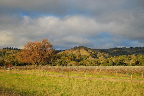 Explore the Stunning Redding Waterfall Loop in Northern California