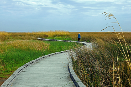 Best Alligator Farm in Shreveport LA: Gator Country Alligator Farm