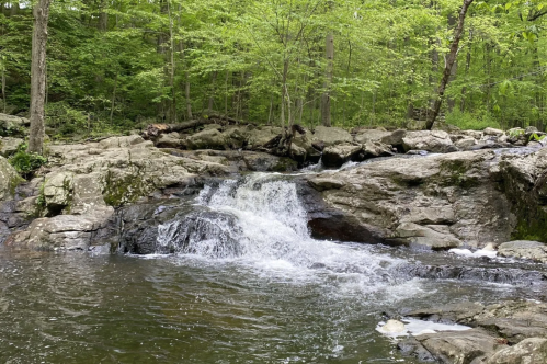 Best Waterfalls in New Jersey: 12 Local Favorites & Hidden Gems