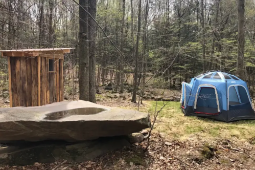 Discover Blueberry Treehouse Farm & The Treehouse Cafe in NY