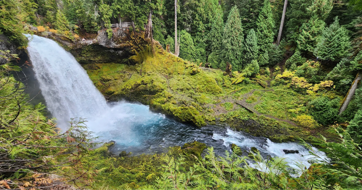 Reach a Wild Berry Haven at Sahalie Falls in Oregon