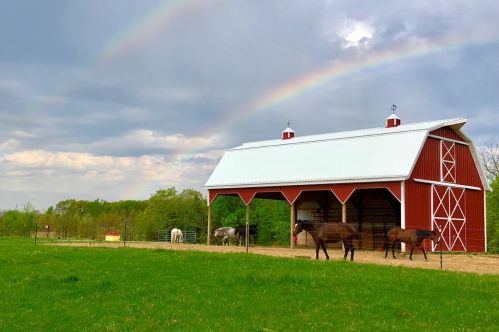 Gooseberry Bridge Farm: Visit a Flower Farm With Baby Animals in ...