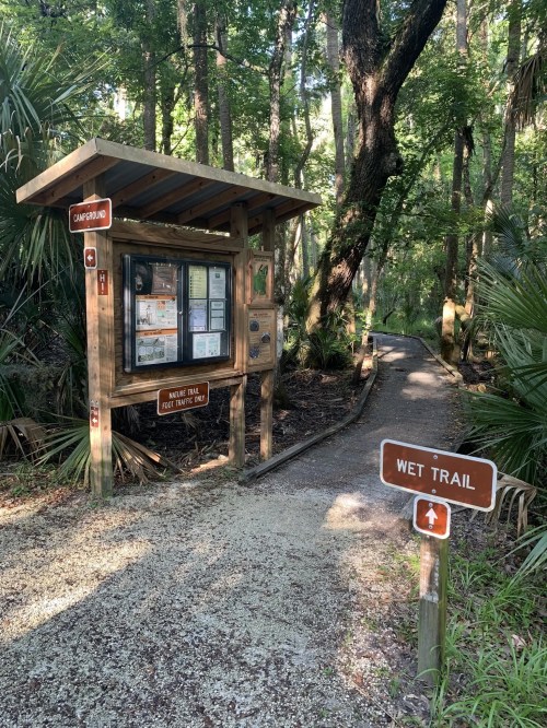 Visit Hontoon Island State Park: Florida’s Hidden Gem for Slow Travel