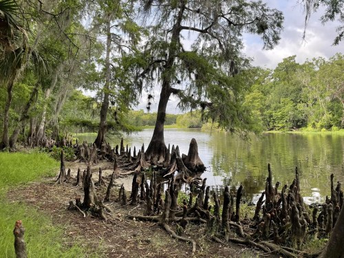 Visit Hontoon Island State Park: Florida’s Hidden Gem for Slow Travel