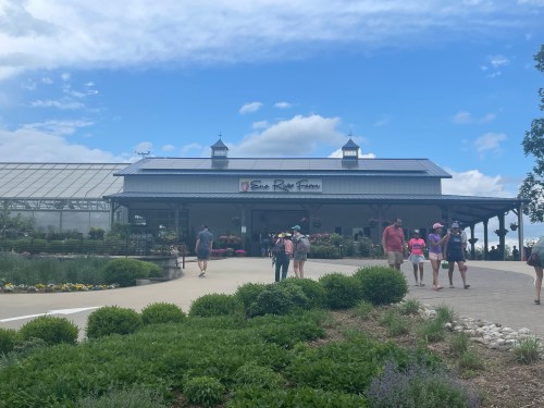 Welcome Summer With Berry Picking at Eno River Farm in Hillsborough, NC