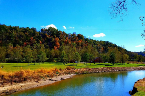 Top 10 Scenic Country Roads in Iowa for a Picturesque Drive