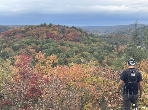 This Lakefront Cottage Is the Perfect Home Base for Connecticut's Best ...
