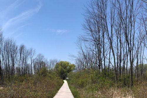 Nature | Only In Wisconsin