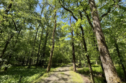 Gilbert Is Arkansas' Coldest And Coolest Town And Worth The Trip