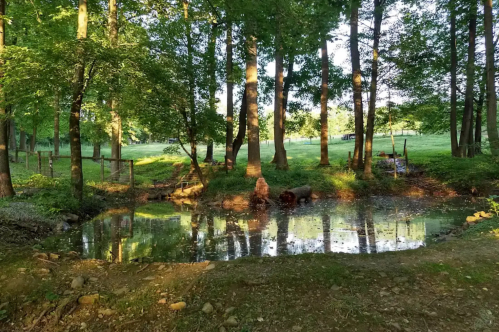 The 25 Best Campgrounds In Pennsylvania