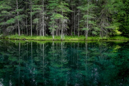 Your Ultimate Guide to Summer Fun in Michigan