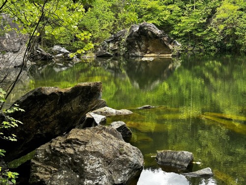 Hike The Pine Log Creek Trail: A Hidden Gem for Slow Travel in Georgia