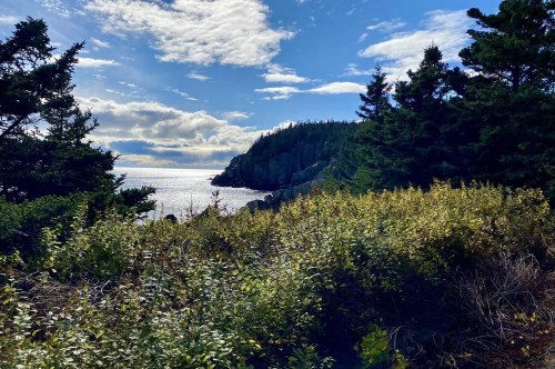 The Montsweag Flea Market In Maine Is Filled With Treasures