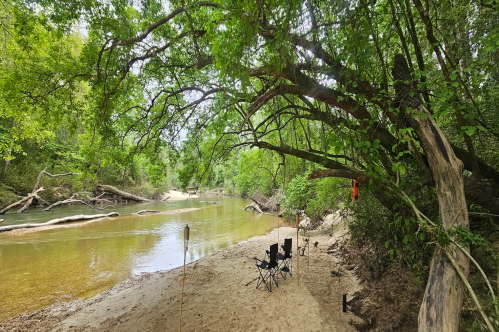 A Unique Mississippi Town to Visit: Leland