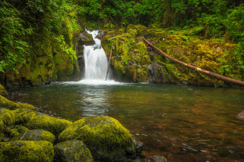 5 Oregon Coast Waterfalls To Visit on a 2-Day Road Trip