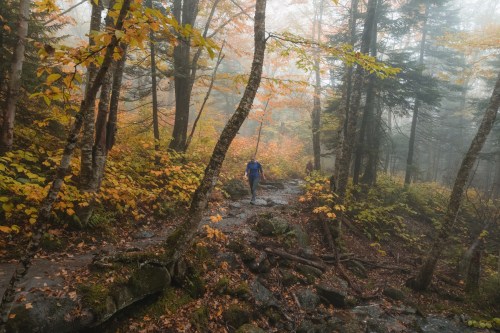 Blue Ridge Parkway Alternative? Discover Vermont's Route 100
