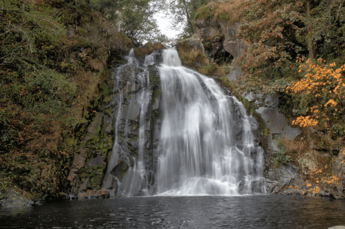 5 Oregon Coast Waterfalls To Visit on a 2-Day Road Trip
