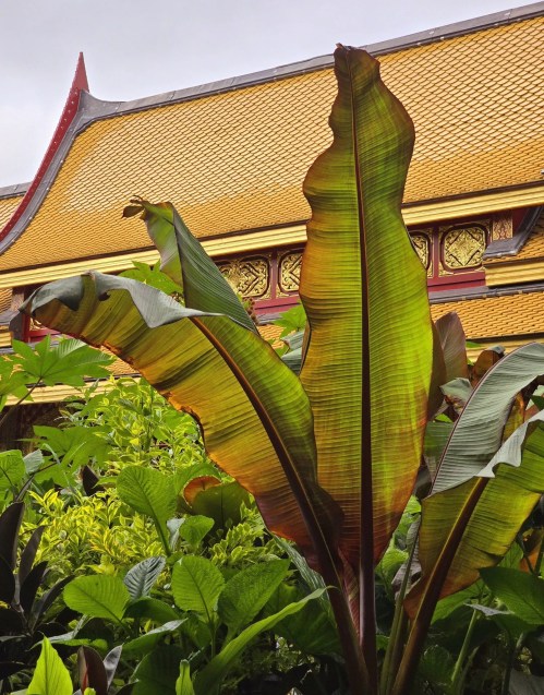 Your Ultimate Guide to Summer Fun in Wisconsin