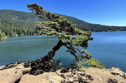 Day Trips Near Me: 12 Amazing Washington Day Trip Ideas