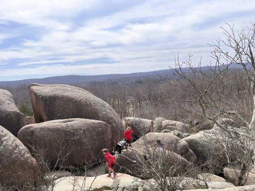 Elephant Rock State Park: Dupe for Joshua Tree National Park
