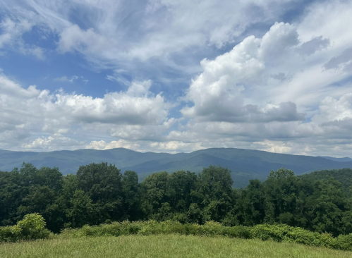 This Modern Treehouse Is the Perfect Home Base for Georgia's Best ...