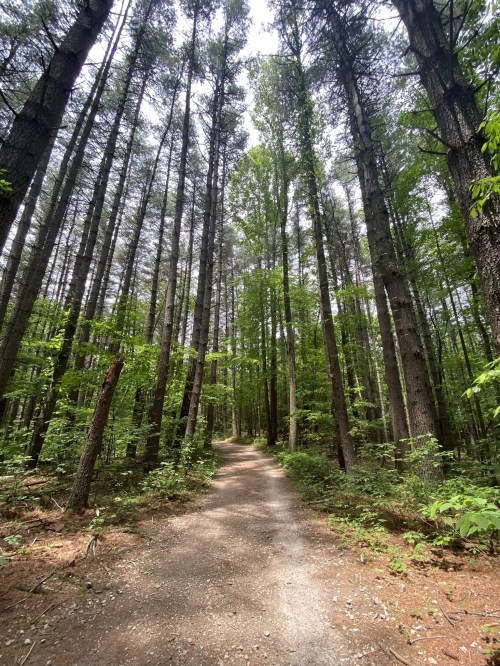 This North Carolina Arboretum Hike Is a Perfect Alternative to a ...