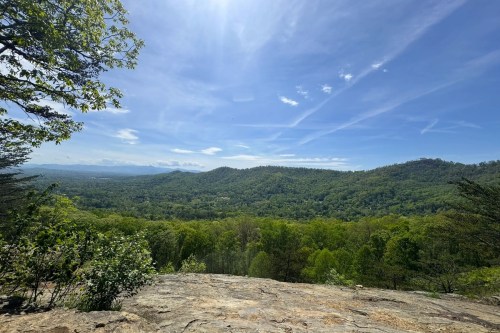 Welcome Summer With Berry Picking at Eno River Farm in Hillsborough, NC