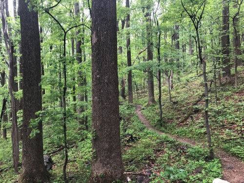 Mint Springs Valley Park: Family-Friendly Park in Crozet, Virginia