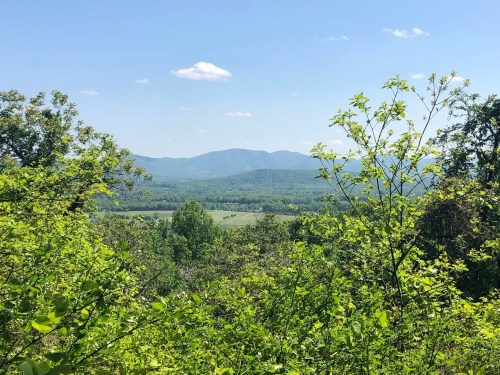Mint Springs Valley Park: Family-Friendly Park in Crozet, Virginia