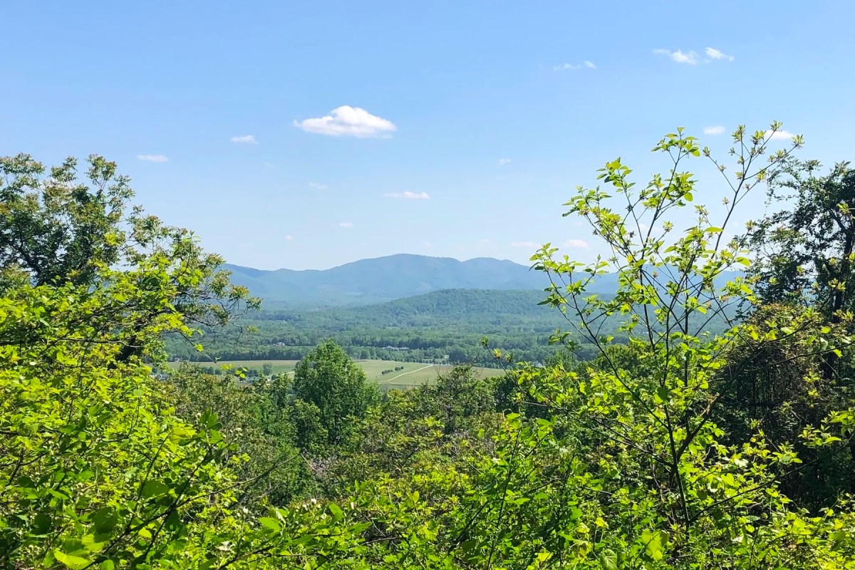 Mint Springs Valley Park: Family-Friendly Park in Crozet, Virginia