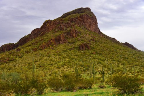 Picacho Peak State Park: Just as Good as Arizona National Parks