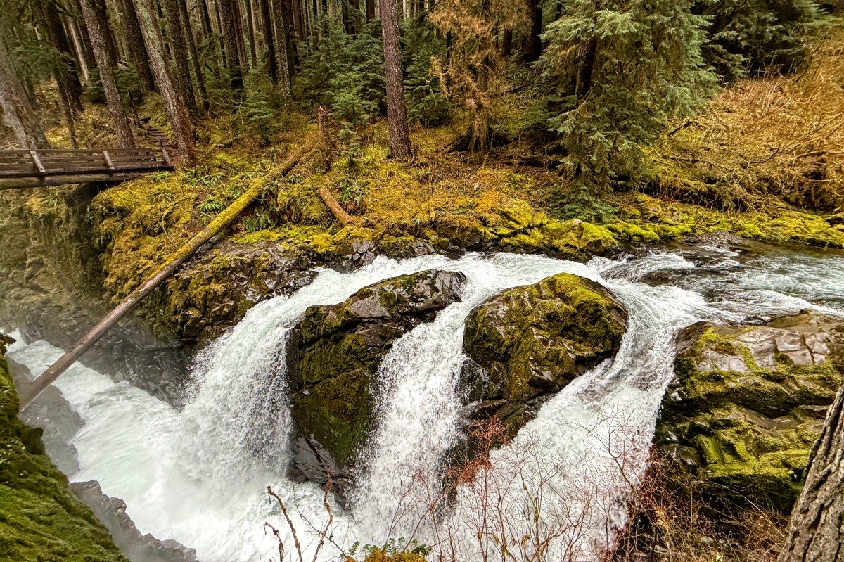 The Hiking Trail to Sol Duc Falls in Washington Is Otherworldly