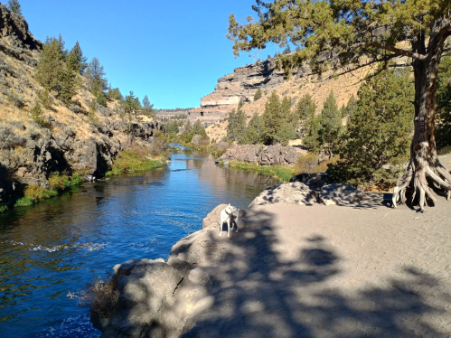 Steelhead Falls Swimming Hole in Oregon: Summer Destination for Cliff ...